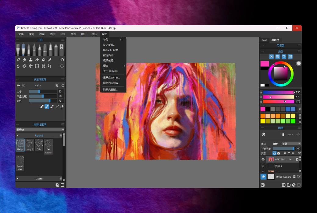 Rebelle Software - Officially Authorized Genuine Software Platform